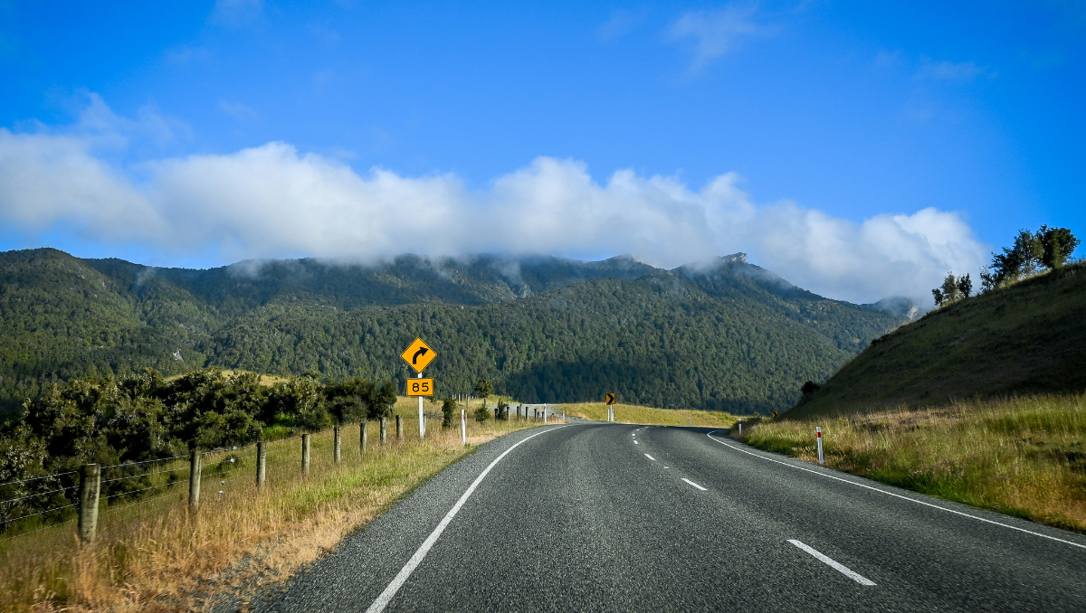 Climate investment in New Zealand: building the foundations | IoD NZ