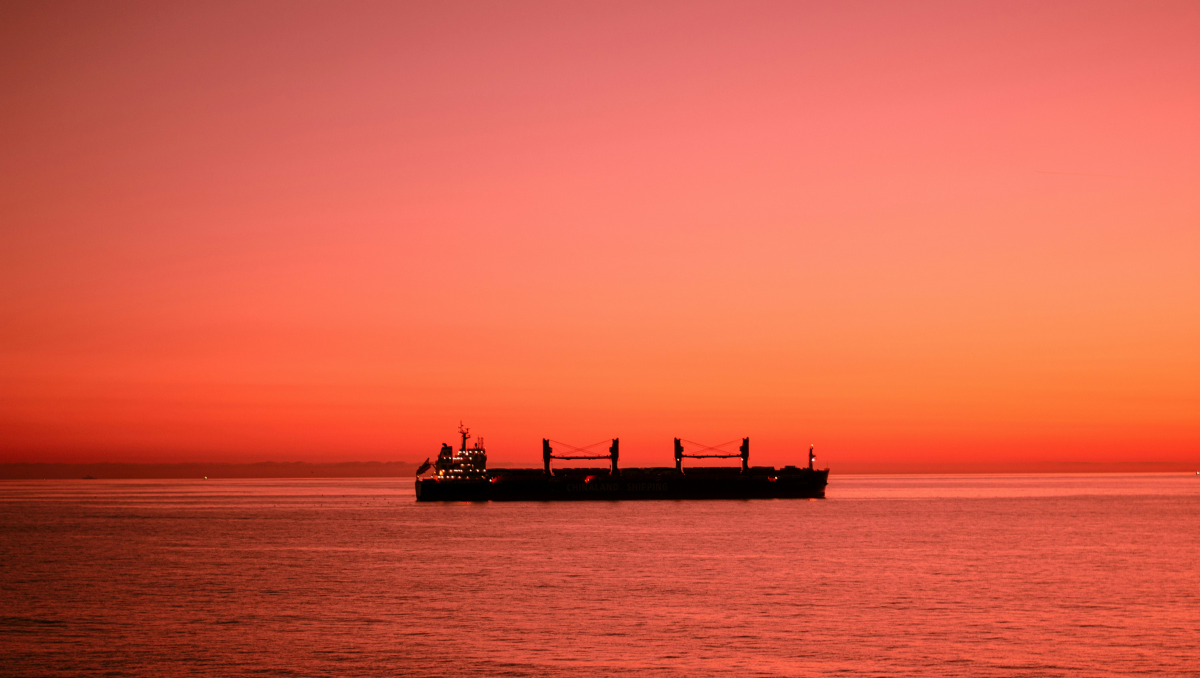 Net-zero shipping framework decisions imminent | IoD NZ