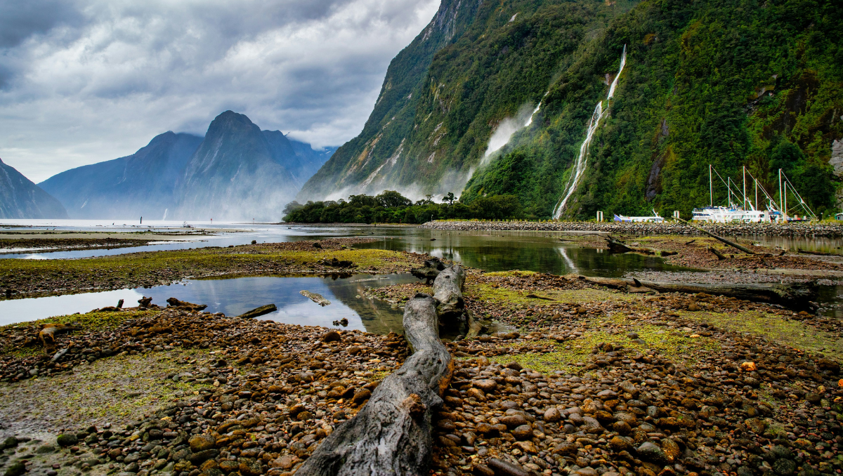 Sustainable finance suppliers face barriers | IoD NZ