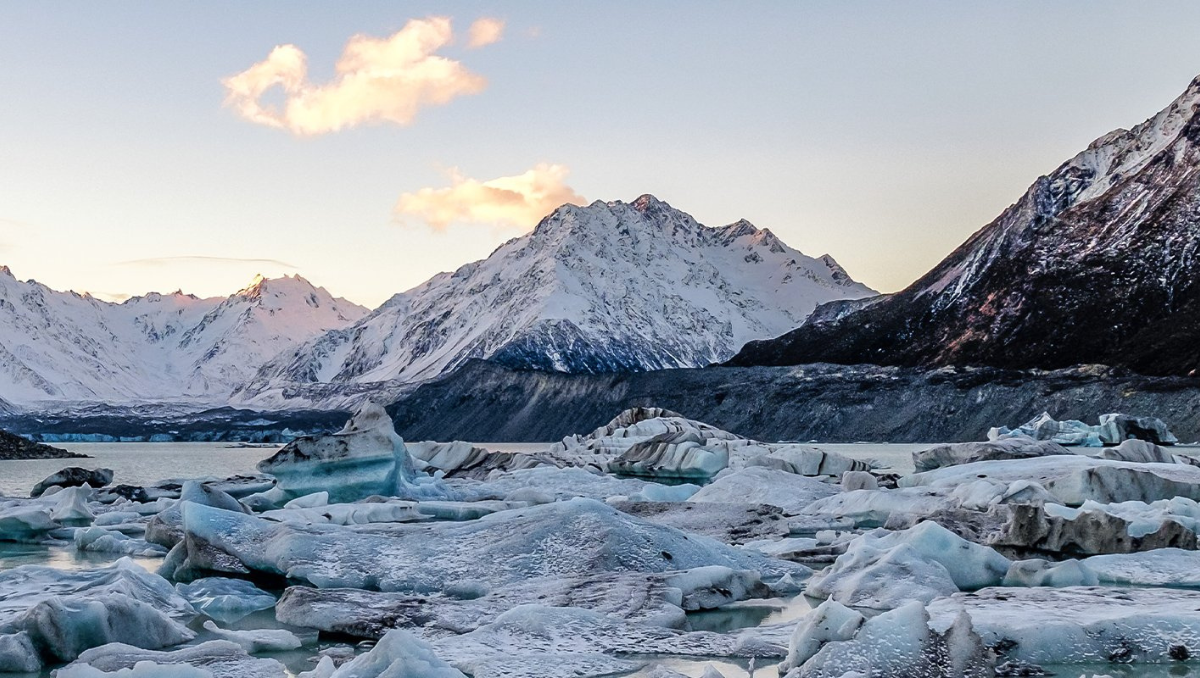 Chapter Zero New Zealand Board Toolkit | Chapter Zero NZ