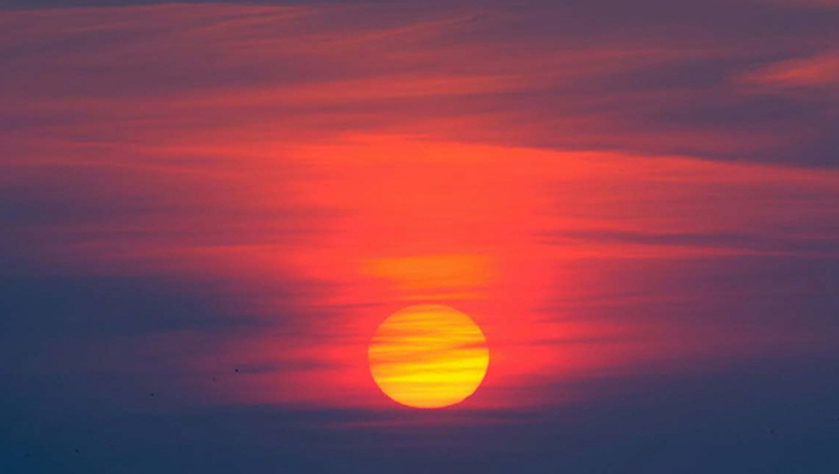 Transition planning – a guide for directors | Chapter Zero NZ