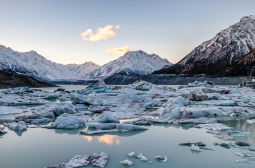 Home | The Institute of Directors New Zealand