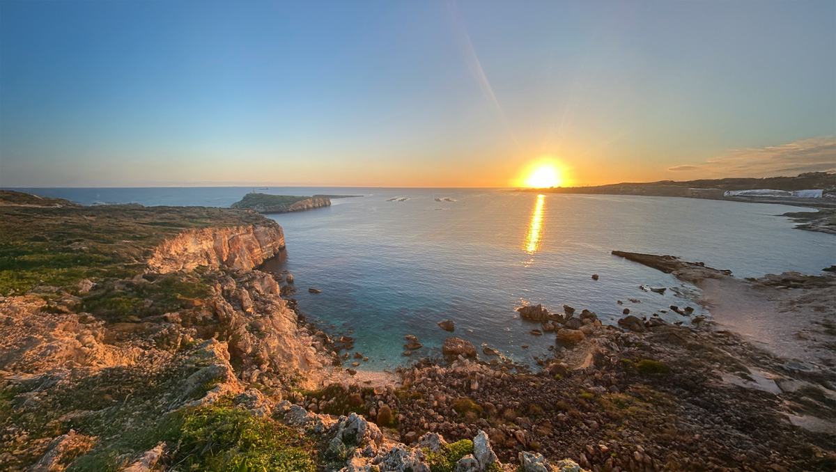 Company Directors' Course residential | IoD NZ