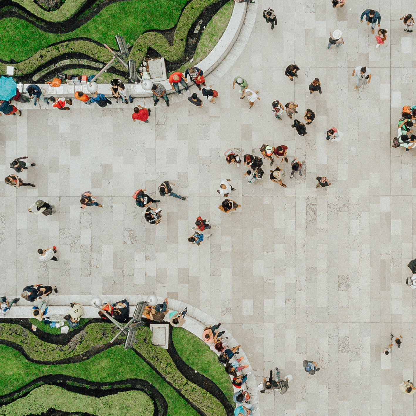 Company Directors' Course | IoD NZ