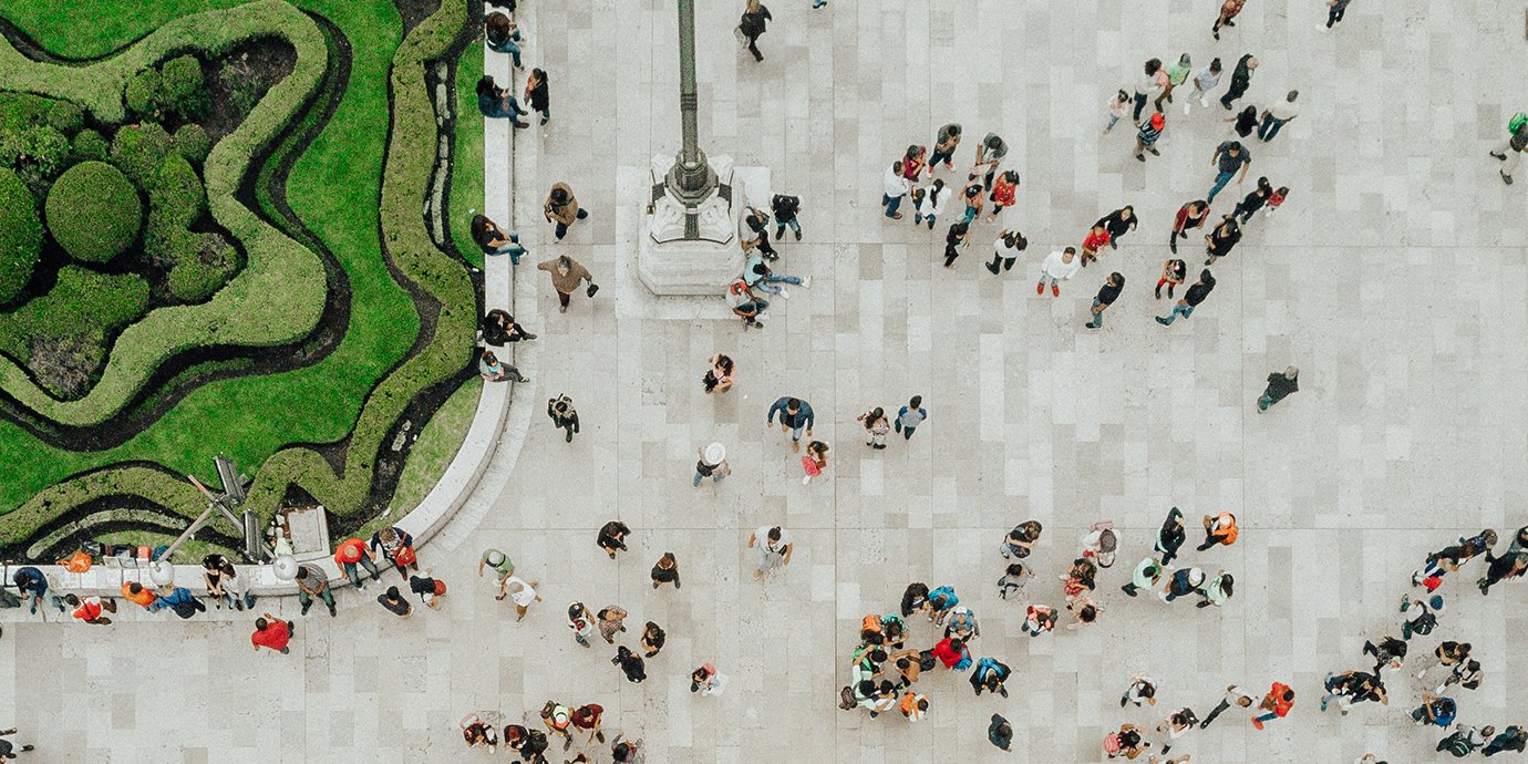 Company Directors' Course | IoD NZ