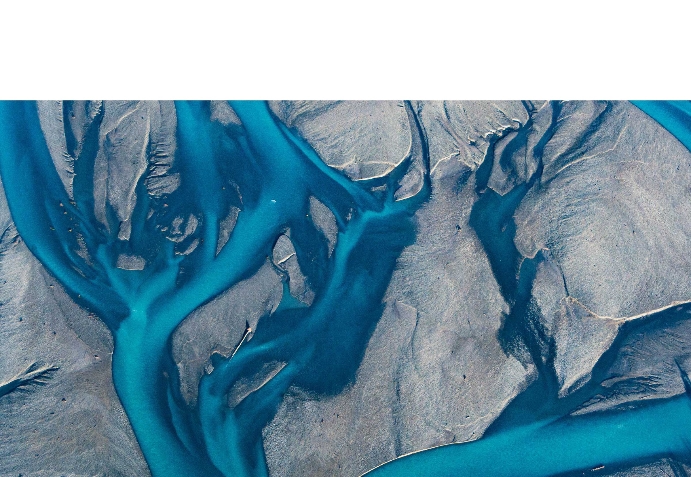 Institute of Directors honours four Canterbury business leaders | IoD NZ