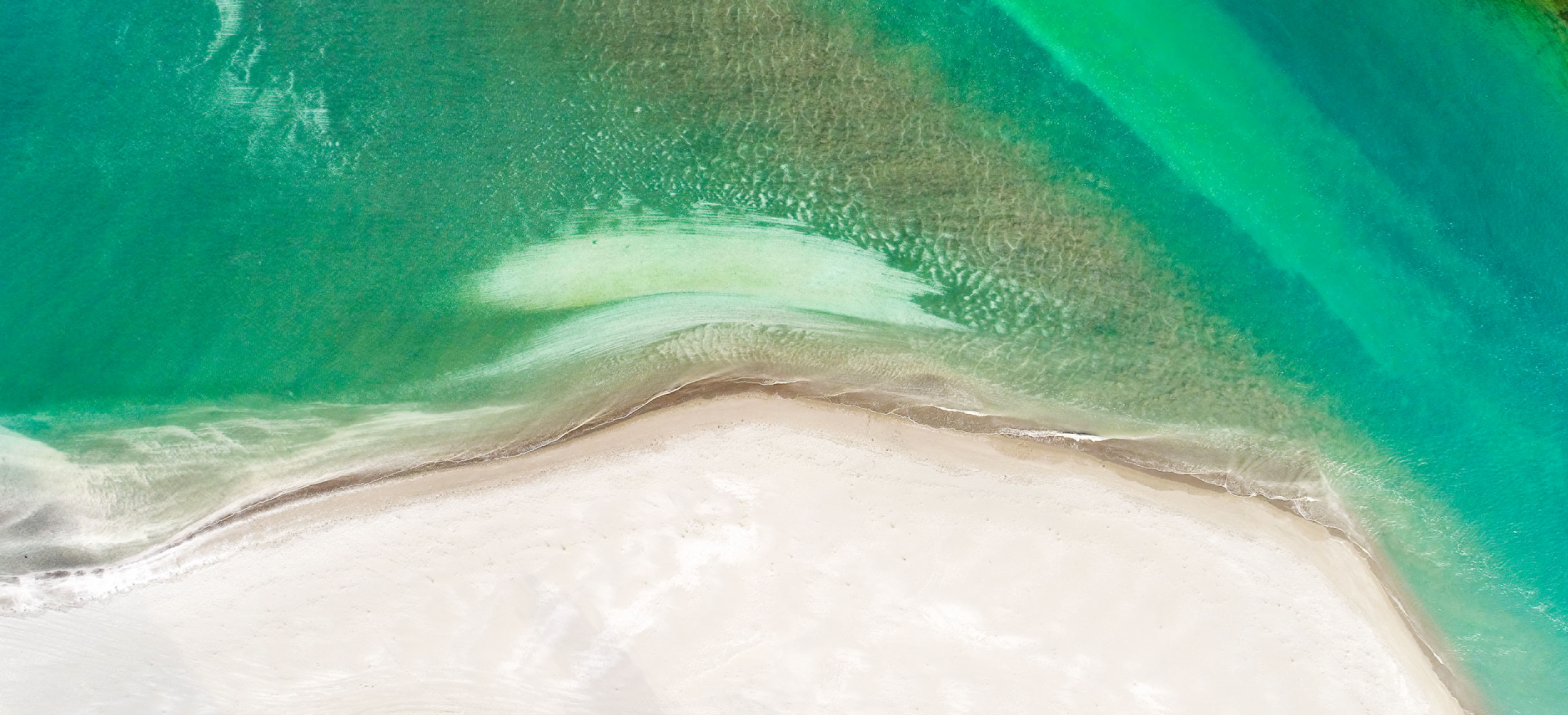 Home | The Institute of Directors New Zealand