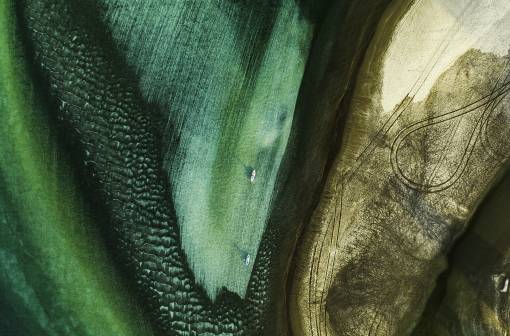 Home | The Institute of Directors New Zealand