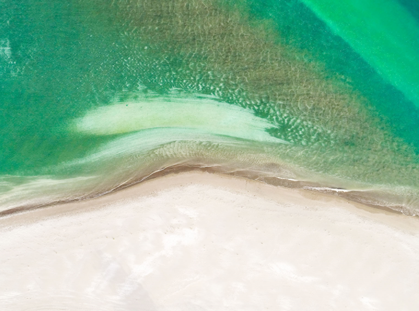 Home | The Institute of Directors New Zealand