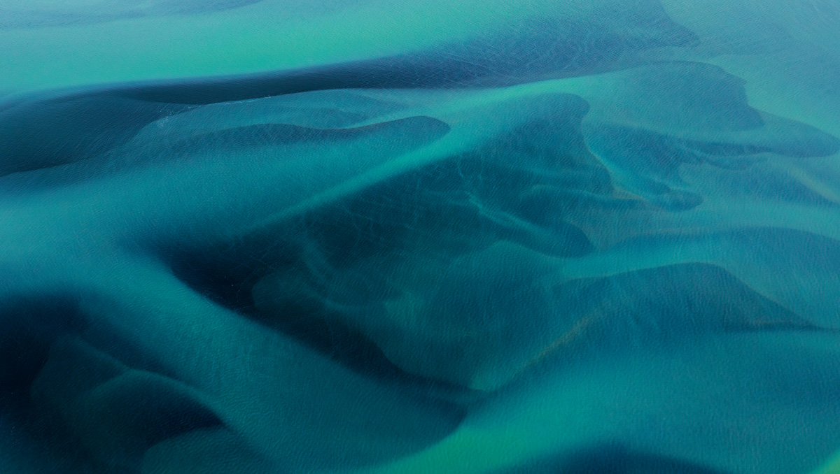 Institute of Directors Annual General Meeting 2025 report | IoD NZ