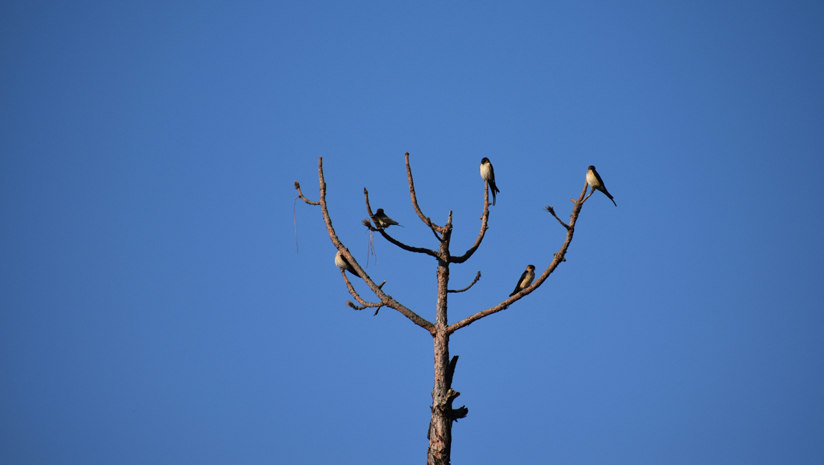 The importance of shared spaces – and being heard | IoD NZ