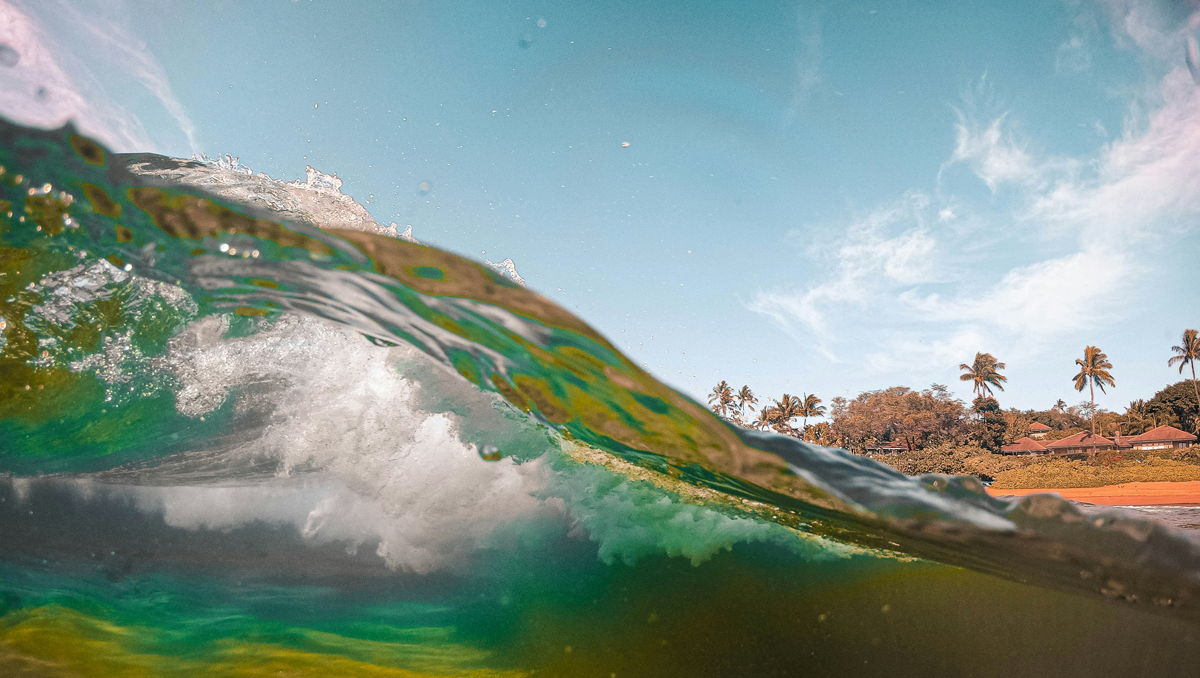 Seize the power | IoD NZ