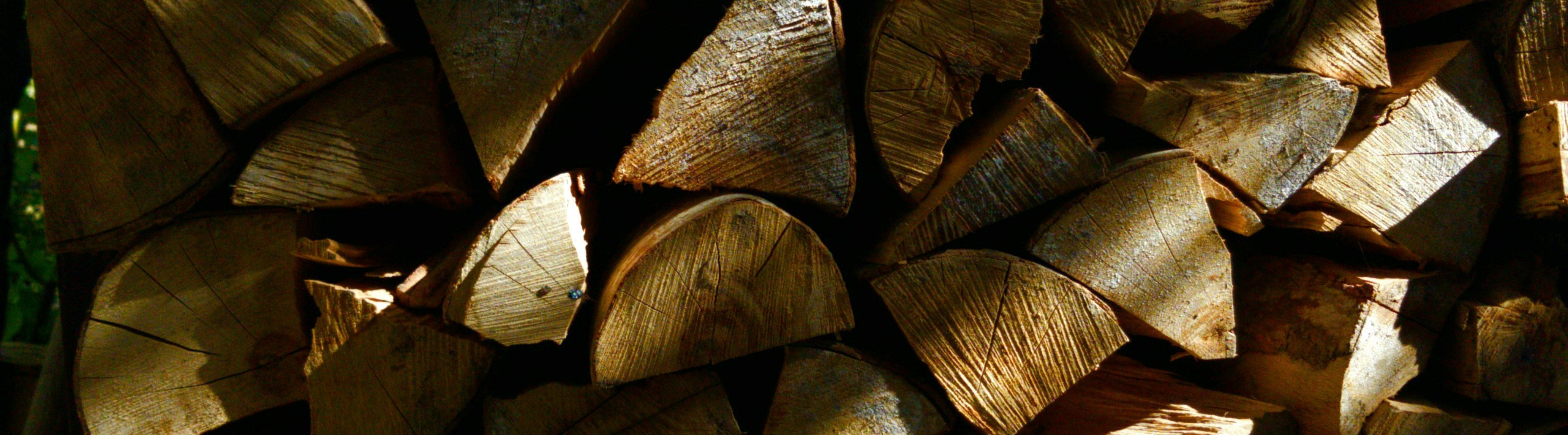 The power of biomass – unlocking low-carbon heat in New Zealand | IoD NZ