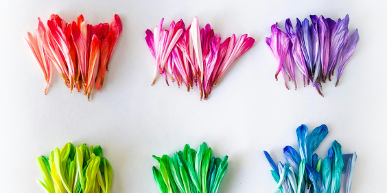 Boardroom Premium | IoD NZ