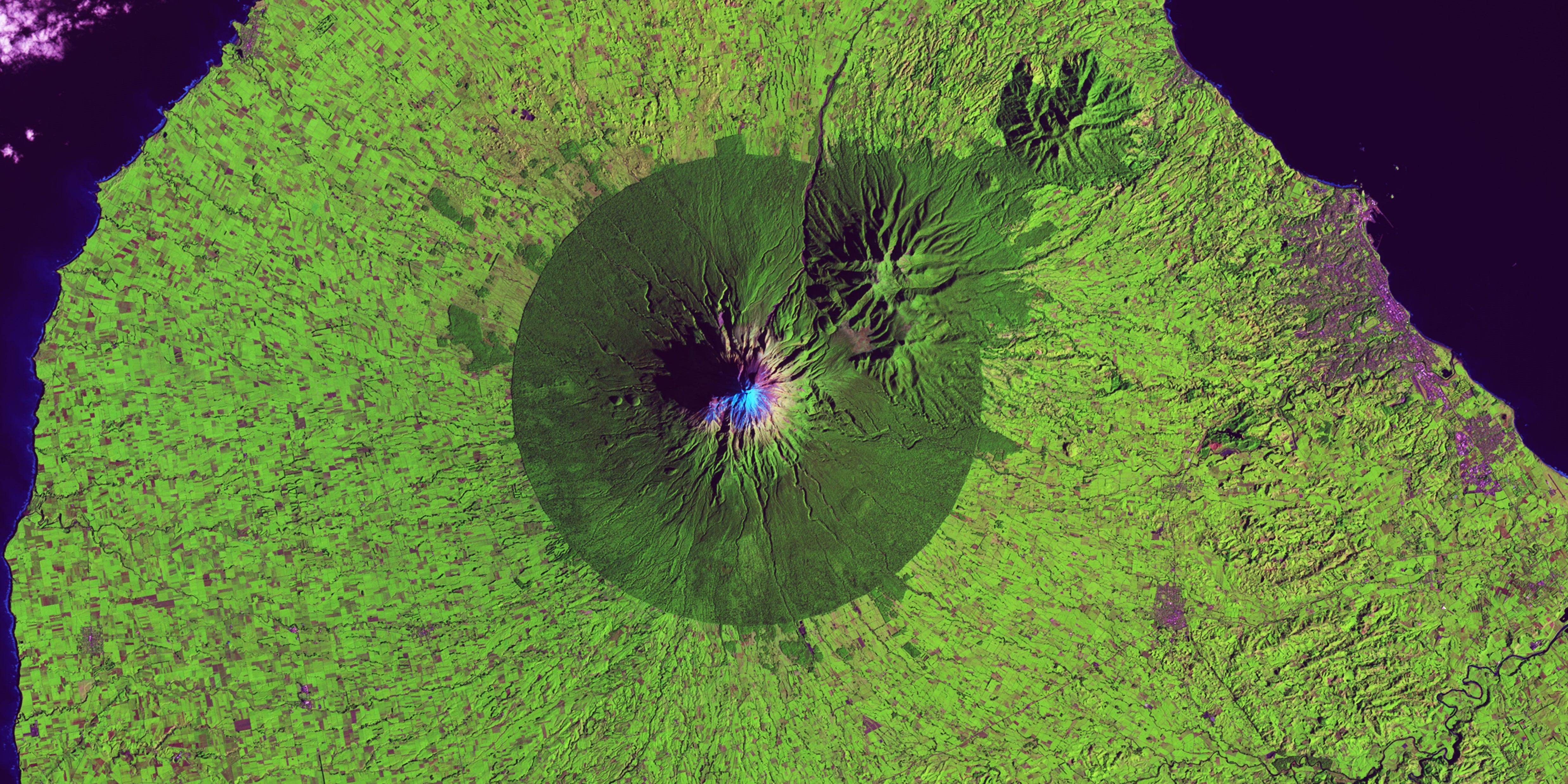How green is your Budget? | IoD NZ