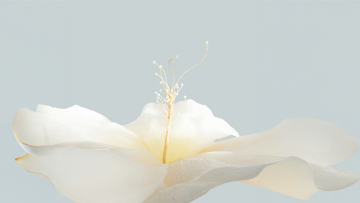 Individual membership | IoD NZ