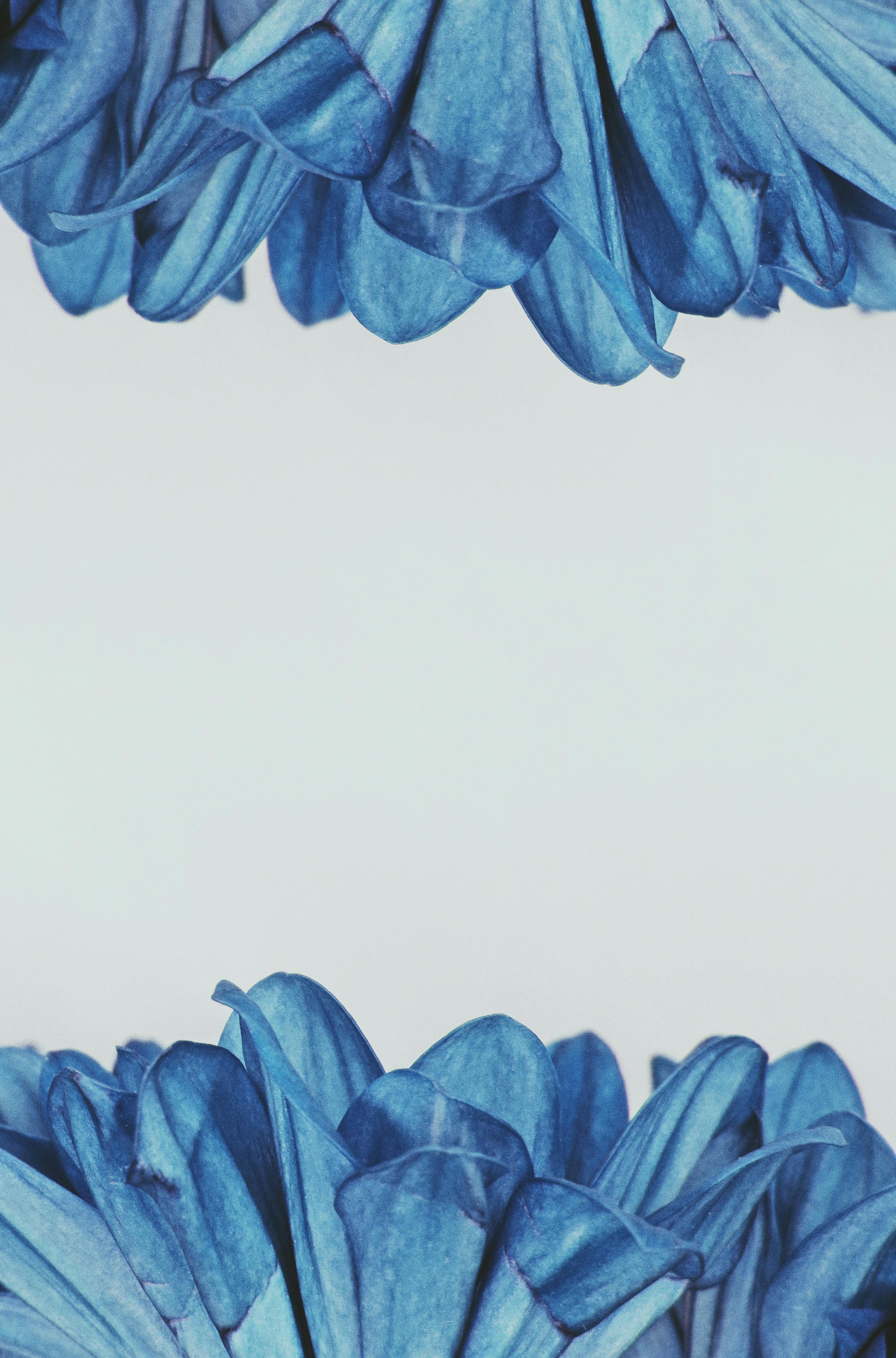 Shared Interest Groups | IoD NZ