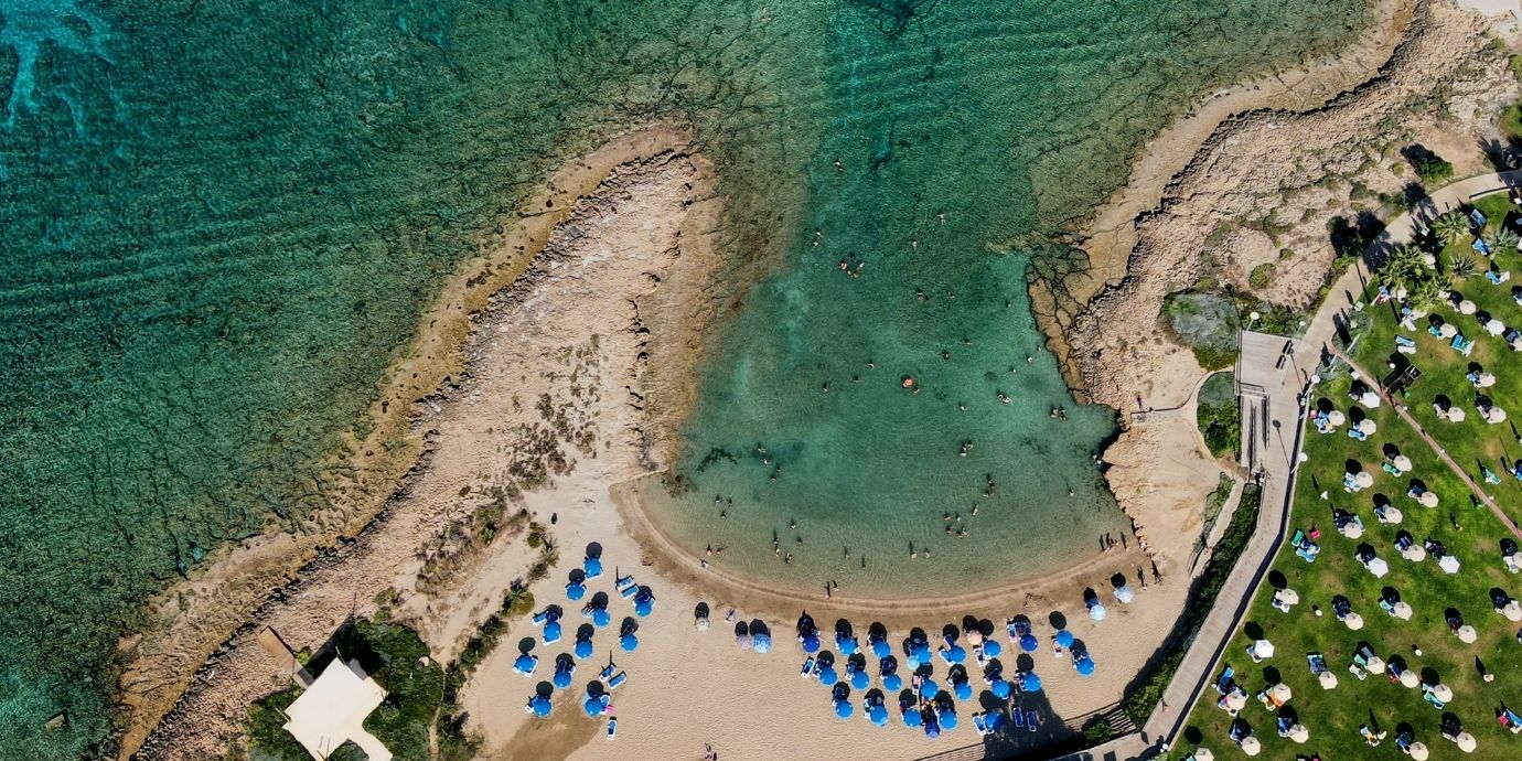 Summer reading | IoD NZ