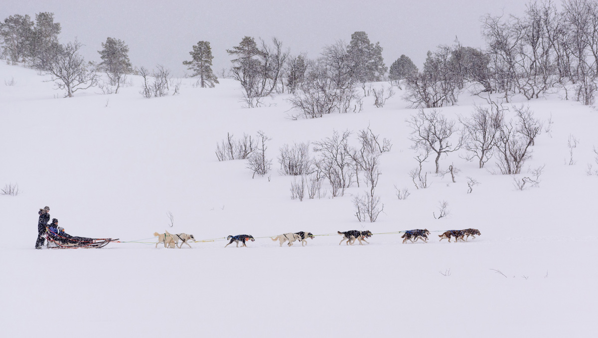 How high-performing boards stay ahead | IoD NZ