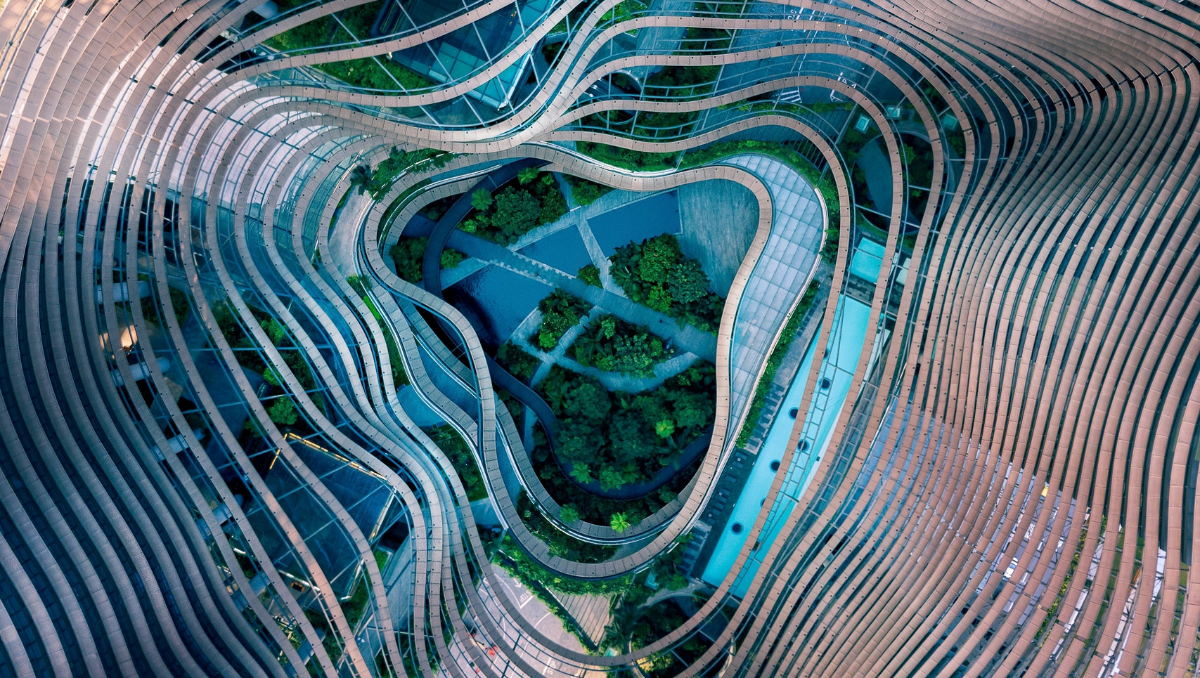 Defining 'return on capital' | IoD NZ