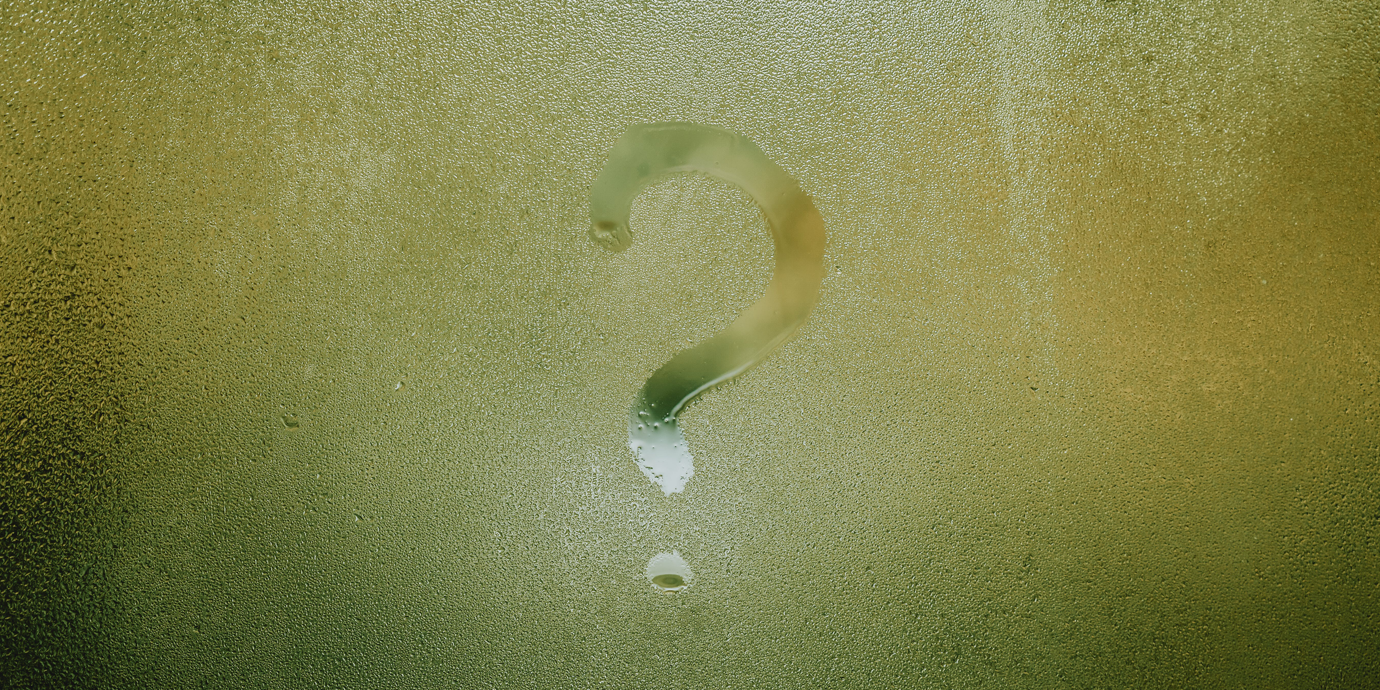 Are boards asking the hard questions about disability? | IoD NZ