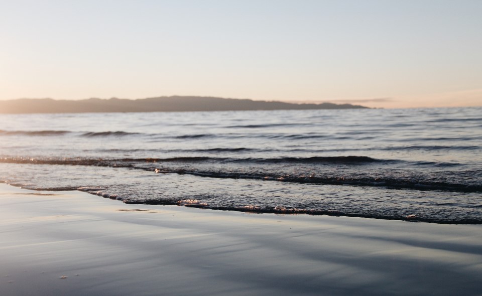 Making sense of the Nelson Tenths | IoD NZ